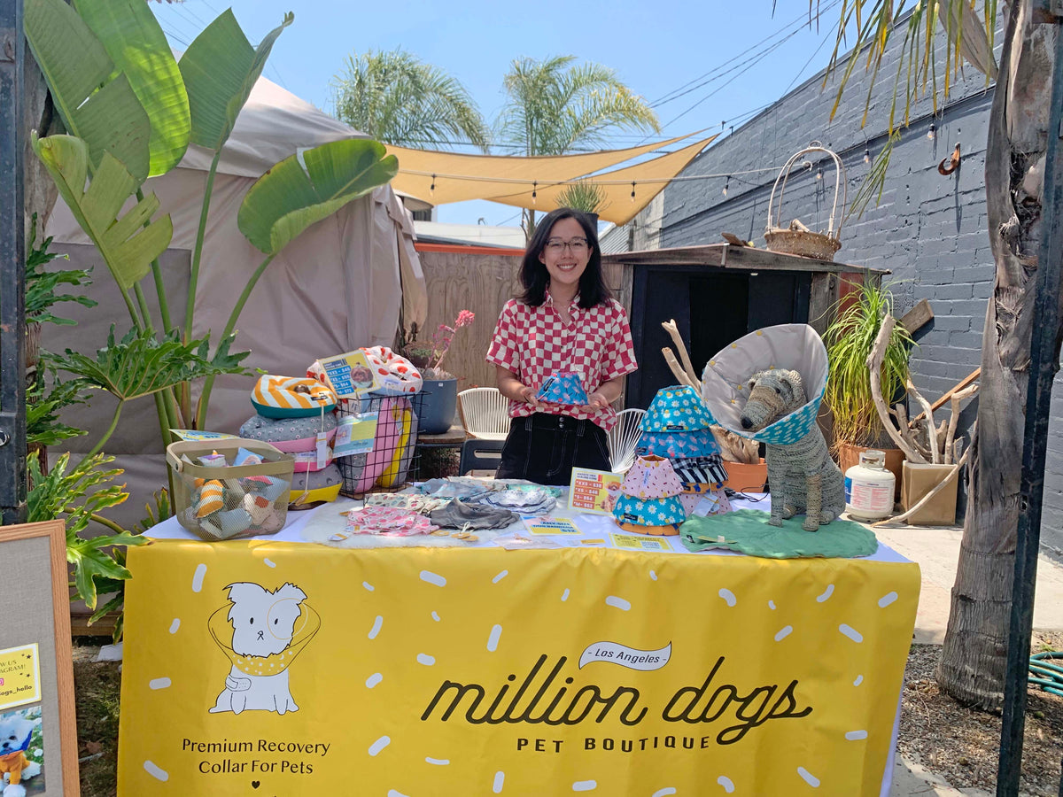 Hi! I'm Jisuk, Founder of million dogs.